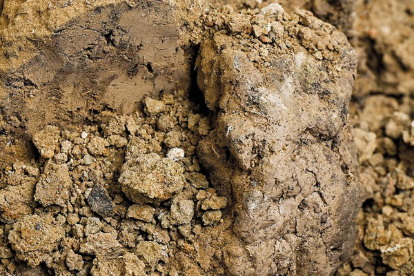 Freitagsgruppe fragt: Gestalten mit Lehm? auf LEO – Das Anhalt Magazin